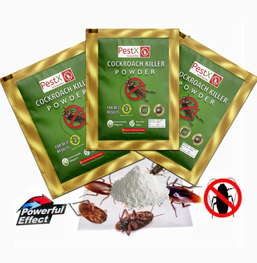 Effective Cockroach Powder | Guaranteed Solution With PestX ...