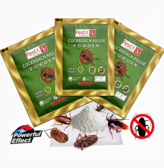 Effective Cockroach Powder | Guaranteed Solution With PestX ...