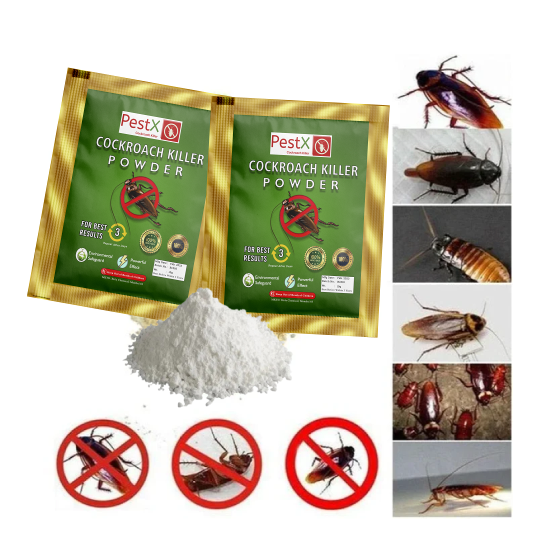 Effective Cockroach Powder | Guaranteed Solution With PestX ...