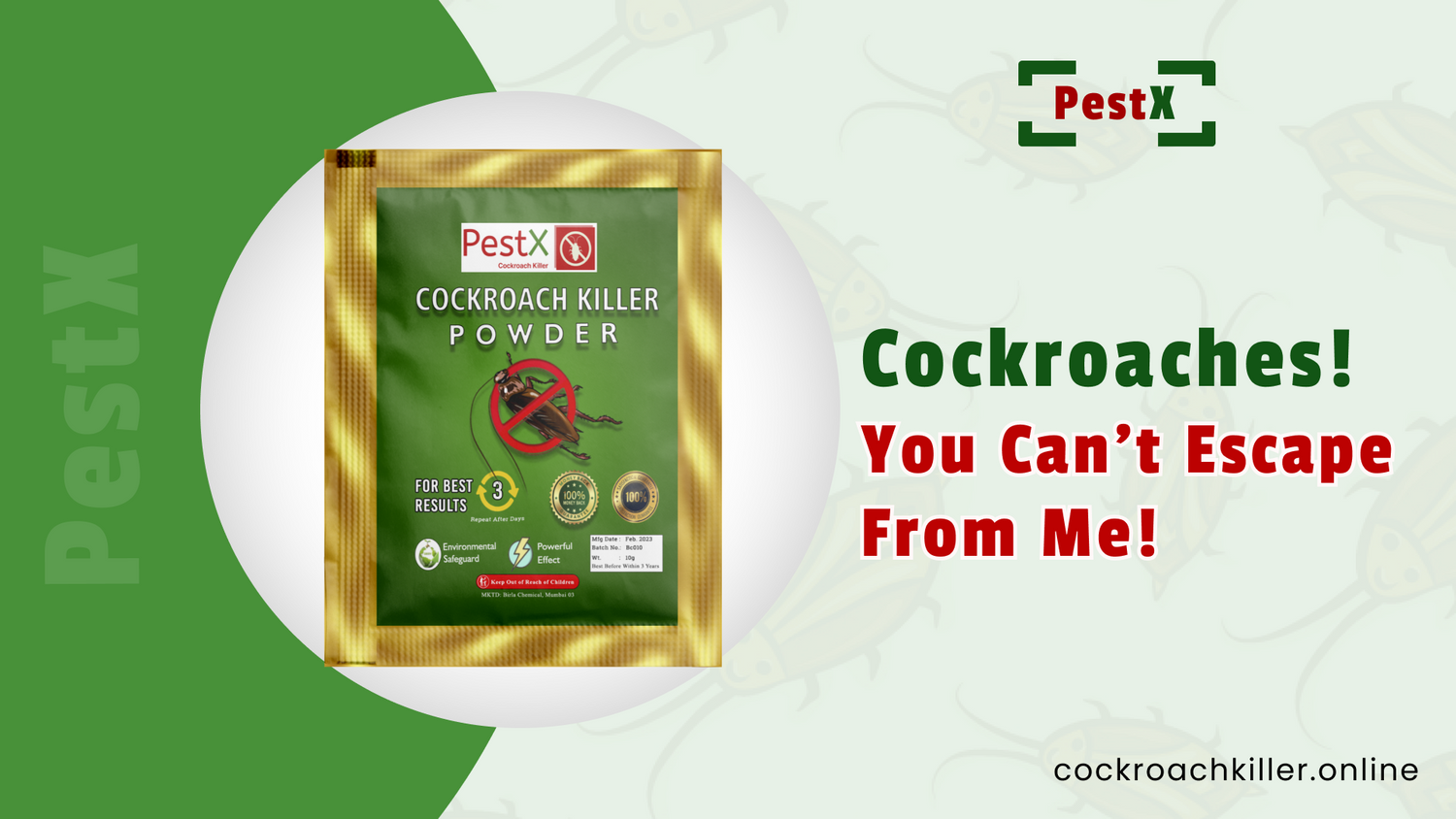 Effective Cockroach Powder | Guaranteed Solution With PestX ...